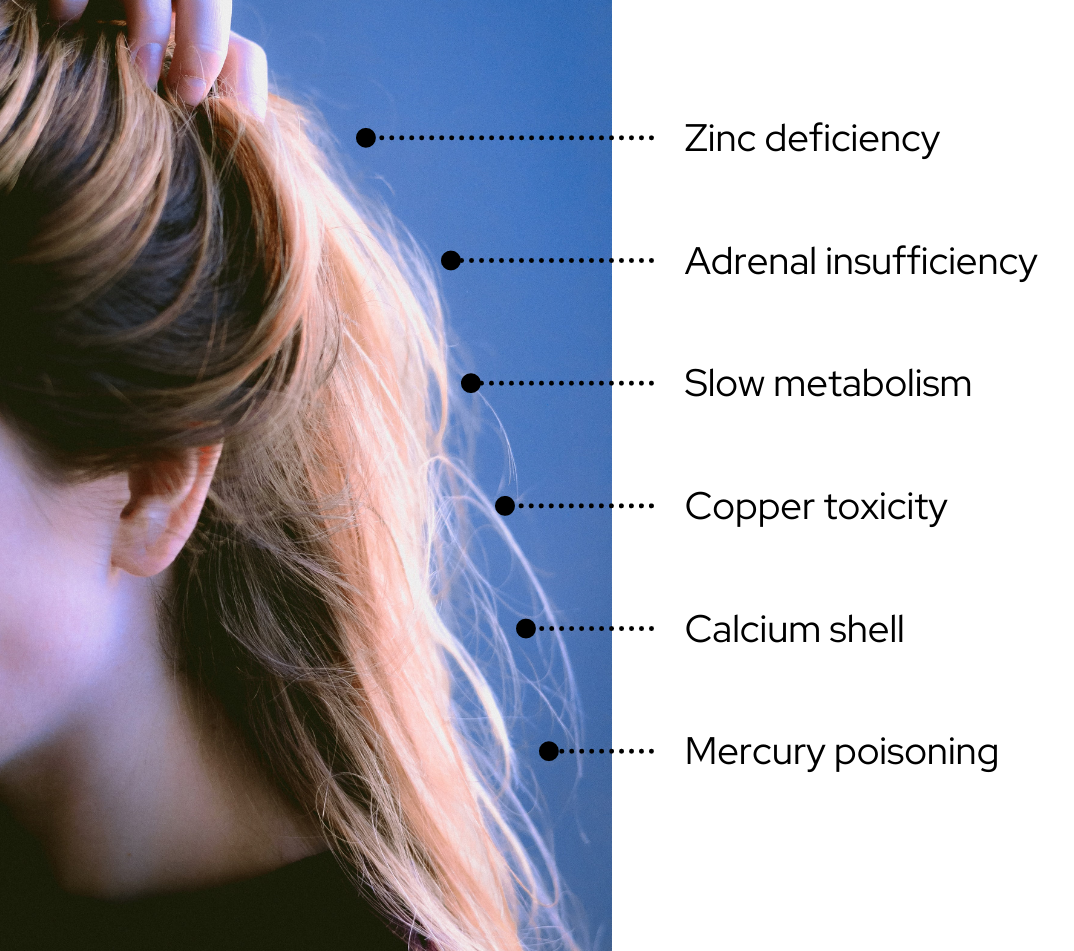 HTMA Hair Tissue Mineral Testing | Heather Carlile, RNC-OB, FNTP, BCHN